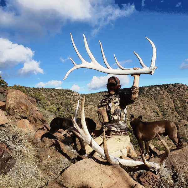 Elk Sets – The Antler Rack