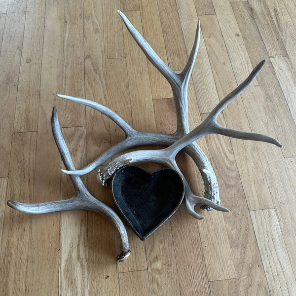 Deer Sets – The Antler Rack