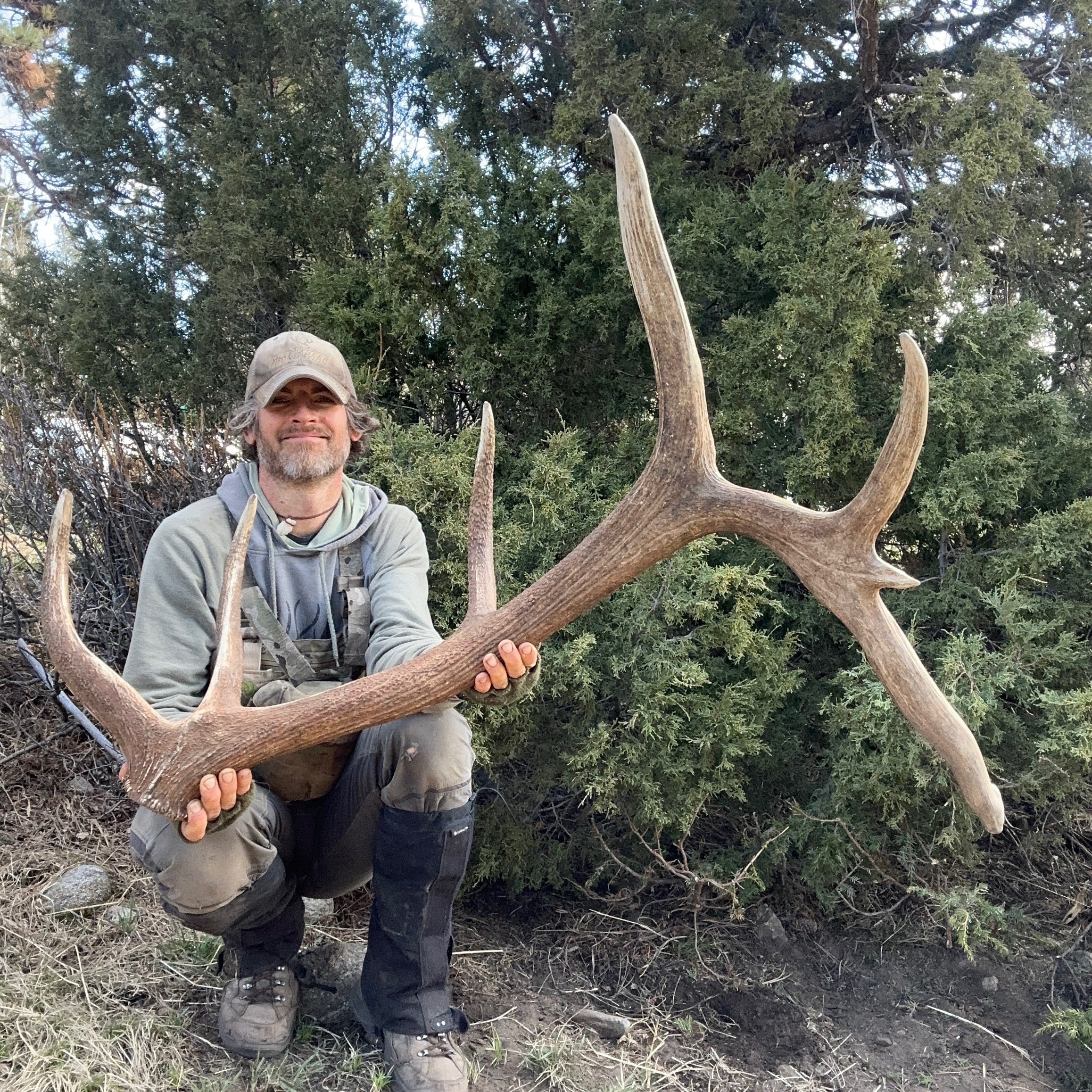 Antlers for sale – The Antler Rack